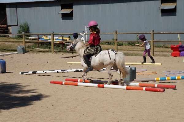 CENTRE EQUESTRE et PONEY-CLUB - Actualités